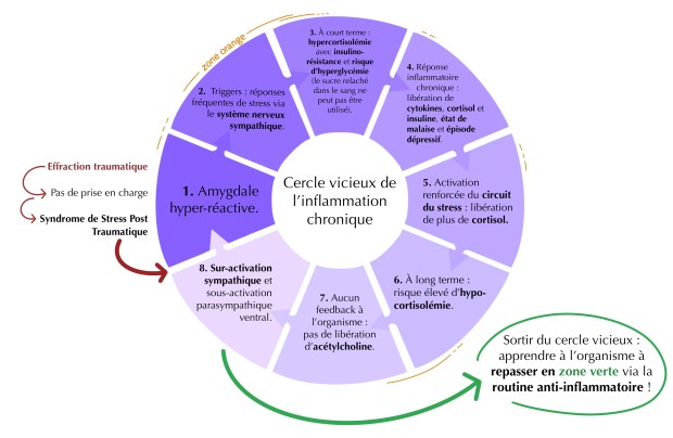 Se faire du bien : une routine anti-inflammatoire – Centre Bertha ...